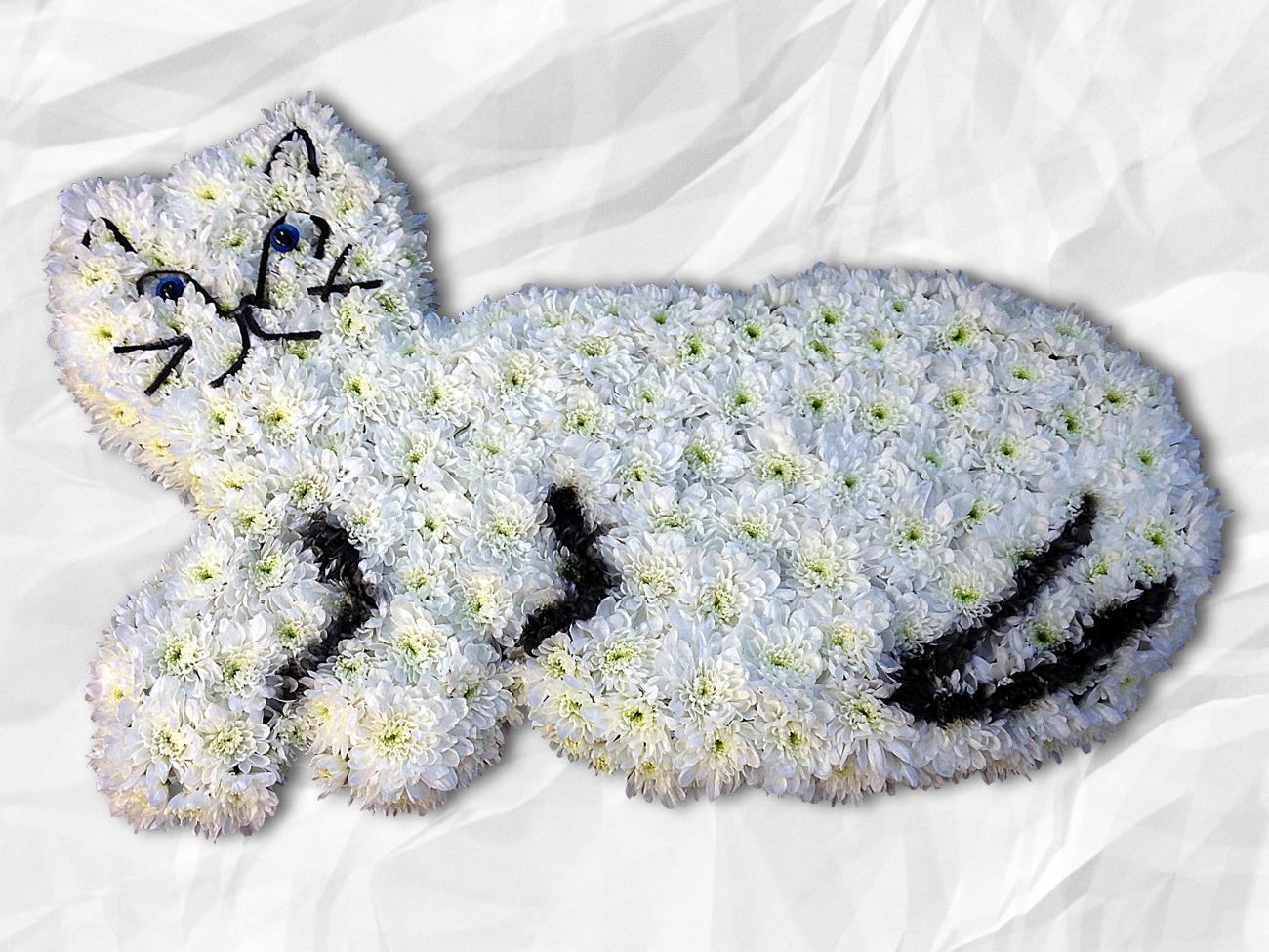 Cat Tribute | Petals Florist